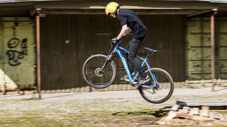 Ringe Kost- og Realskole 5.- 10. klasse